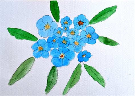 How To Draw A Forget Me Not Flower Step By Step At Bianca Agnes Blog