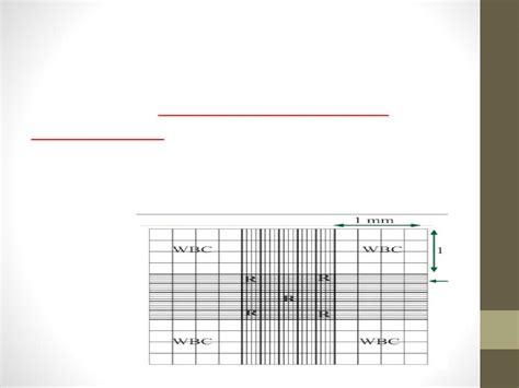 3 Practical Manual WBC Count Pdf MSc Noor S Dalis Muhadharaty