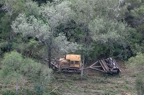 Fundación Greenpeace Argentina Greenpeace Detectó Que En Chaco Se