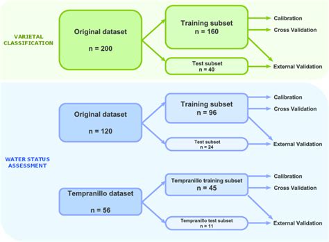 Diagram Of The Datasets Used In Both Experiments And The Different