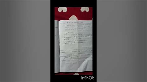 Single Core Vs Dual Core Processor Youtube