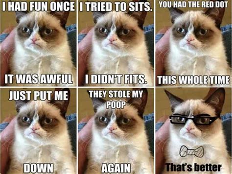 Grumpycat Grumpy Cat Quotes Grumpy Cat Meme Funny Grumpy Cat Memes