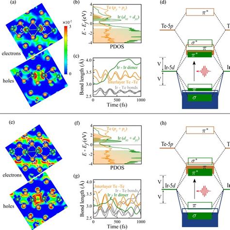 Pdf Microscopic Force Driving The Photoinduced Ultrafast Phase