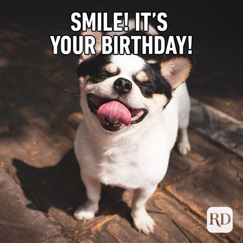 52 Of The Funniest Happy Birthday Memes Funny Happy Birthday Pictures