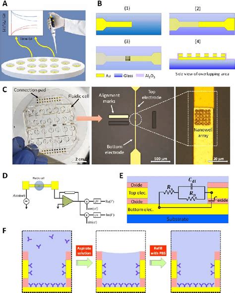 Preparation And Testing Procedure Of Nanowell Array Sensor A Download Scientific Diagram