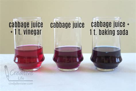 Cindy Derosier My Creative Life Science Fun Using Red Cabbage To Dye