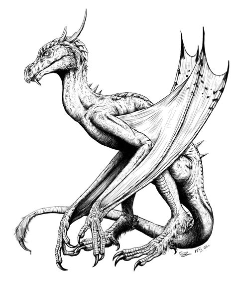 Wyvern Drawing At Getdrawings Free Download