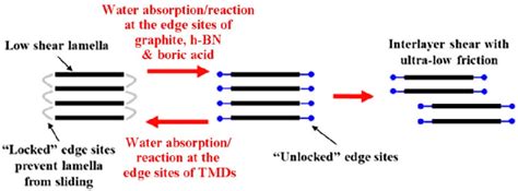 Figure 5 From Synergetic Effects Of Surface Texturing And Solid