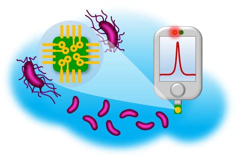 Aptamer Group Partners With Microsaic Systems To Develop Advanced Waterborne Pathogen Detection