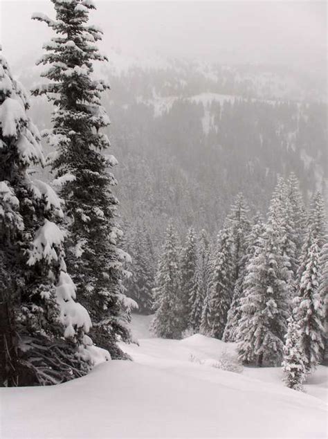 March 11 Tombstone Pass Oregon