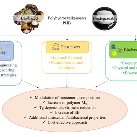 Pdf In Vivo And Post Synthesis Strategies To Enhance The Properties