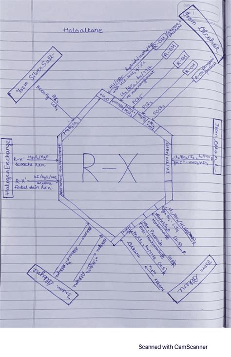 Best Summarising Notes Docsity