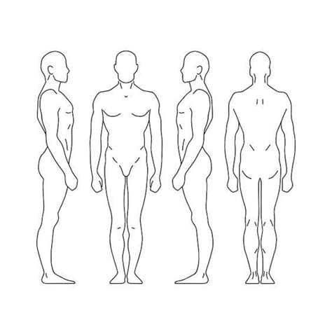 Outline Of Body Acupuncture Artofit