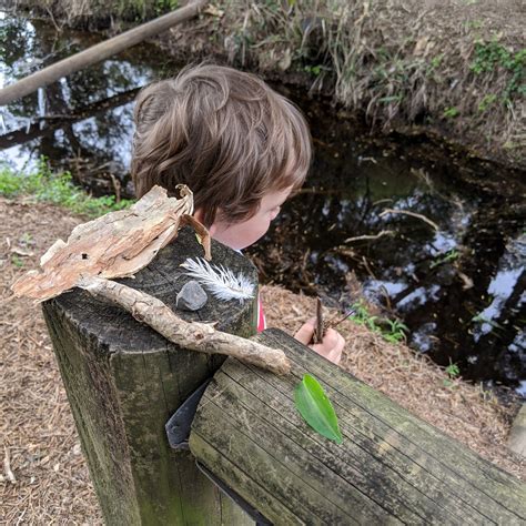Sink Or Float Experiment Happy Days Bucket Filled