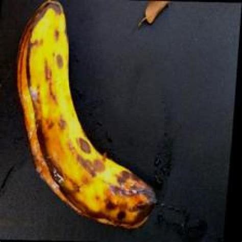 Banana Object Detection Dataset And Pre Trained Model By Banana