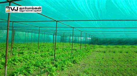 Agricultural Tarpaulin Usage In Horticulture Agriculture