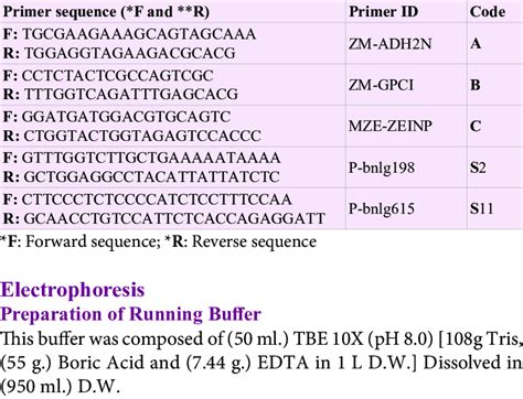 Ssr Primers For Pcr Amplifications Download Scientific Diagram