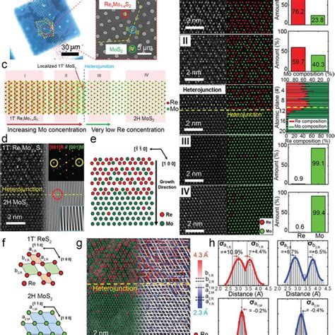 A Photograph Of The Electrochemical Microcell B D Om Images Download Scientific Diagram