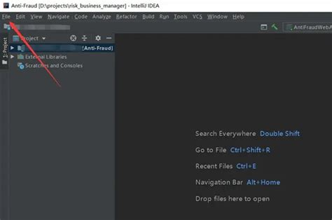 intellij IDEA如何设置运行出几个界面 软件自学网