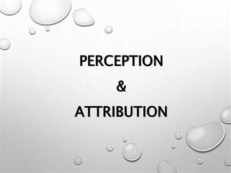 Perception And Attribution Pptx