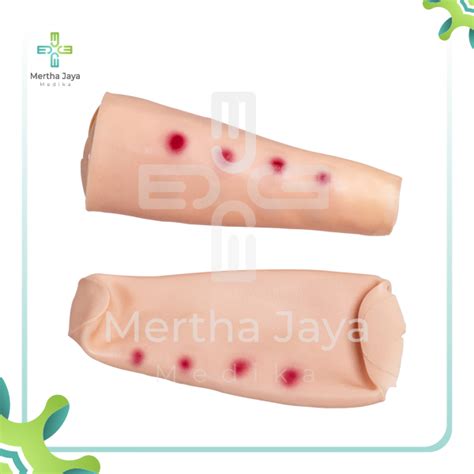 Intradermal Injection Arm Model Gd Hs12 Mertha Jaya Medika