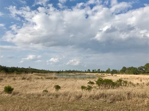 Floridas Ancient Sand Dunes On The Lake Wales Ridge Florida State Parks