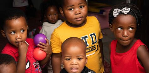 Ipapa Stinger Gc Foundation