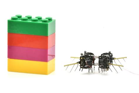 Mits Latest Bug Robot Is A Super Flyer It Could One Day Help Bees Pollinate Crops