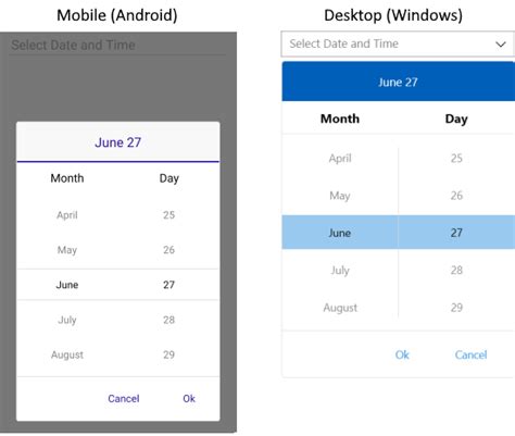 NET MAUI DateTimePicker Documentation Formatting Telerik UI For