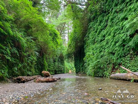 Fern Canyon Trail In Prairie Creek Redwoods State Park Just Go Travel
