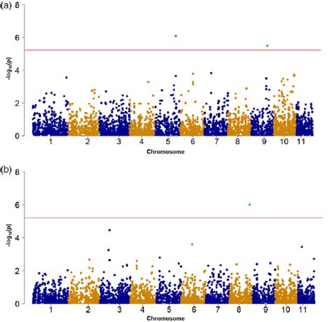 Manhattan Plot Of Single Nucleotide Polymorphism Markers Generated By Download Scientific
