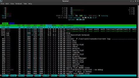 ما هو Void Linux وما الذي يجعله فريدًا؟ أحلى هاوم