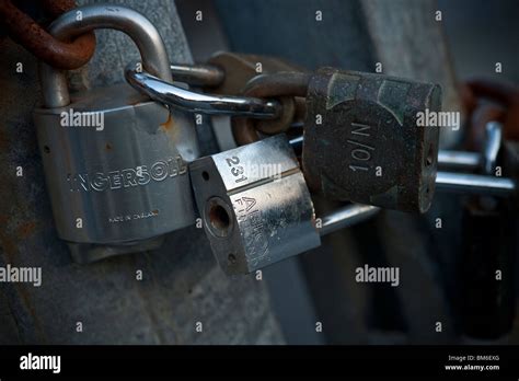 Interlocked Interlocking Chained Padlocks On A Gate Stock Photo Alamy