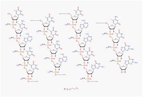 Nusinersen Sodium Colored Nusinersen Structure Hd Png Download Kindpng