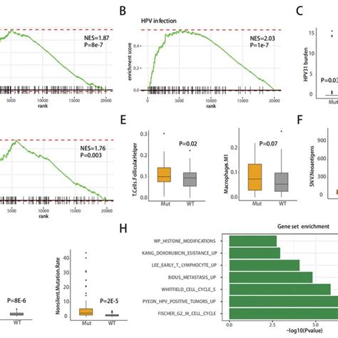 Enrichment Analysis Of Gts In Tcga Cohort A Gsea Enrichment Plot Of Download Scientific