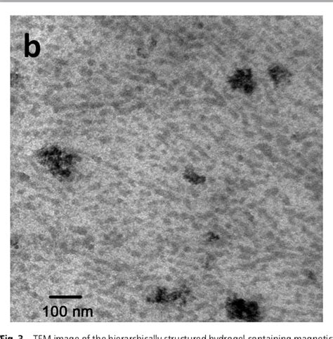 Figure 3 From Stimuli Responsive Hydrogels Cross Linked By Magnetic Nanoparticles Semantic Scholar