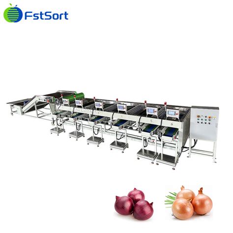 Vegetable Processing Industry Onion Sorting Machine Onion Grading Machine Price Onion Sorting