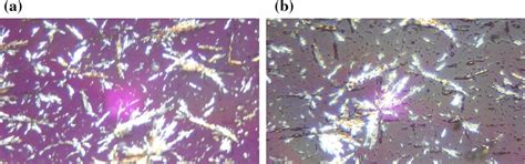 A B Optical Polarizing Microscope Image Showing The Texture Of The Download Scientific
