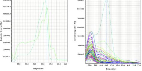 Melt Curve Analysis In Positive Specimens Melt Curve Download