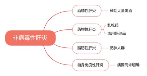 世界肝炎日科普——爱肝护肝，从了解肝炎开始 知乎