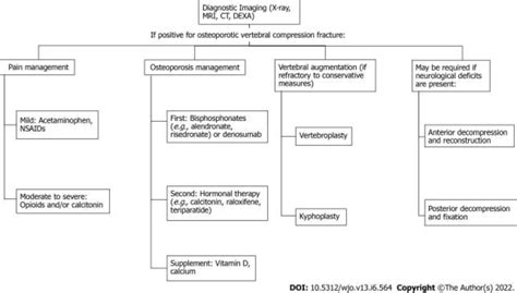 Management Of Vertebral Compression Fractures Sports Medicine Review