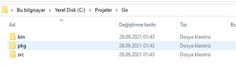 Windows 10 Golang Kurulumu Evren BAL