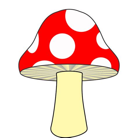 キノコ イラスト 透明