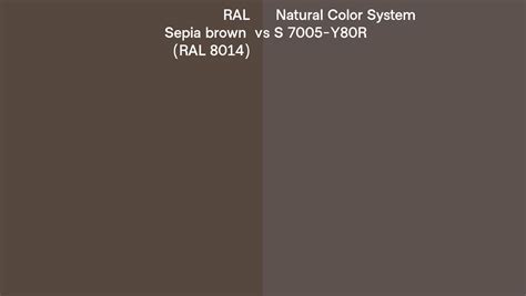 Ral Sepia Brown Ral 8014 Vs Natural Color System S 7005 Y80r Side By