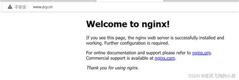 Nginx配置指令之servername的具体使用nginx脚本之家