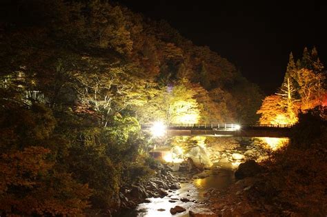 紅葉散策 夜空を楽しむ会 2016 新穂高温泉観光協会