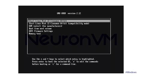 How To Dual Boot Linux Mint 22 With Windows 11 Neuronvm