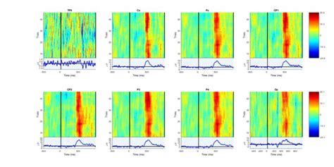 P300 Event Related Potentials Mentalab
