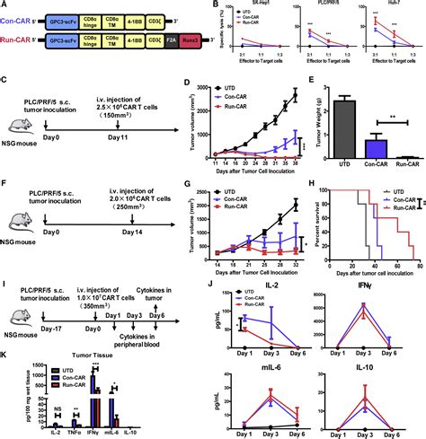 Enforced Expression Of Runx3 Improved Car T Cell Potency In Solid Tumor Via Enhancing Resistance
