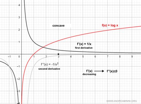 Concave And Convex Functions Andrea Minini